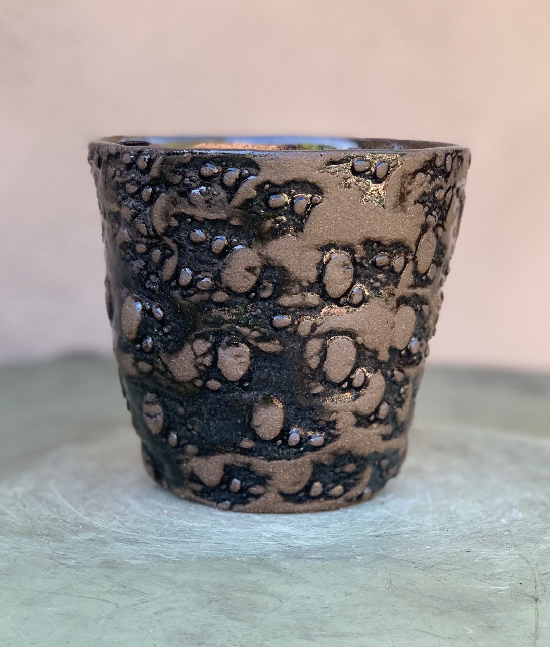 5" Black Cosmos - Susan Aach Ceramics