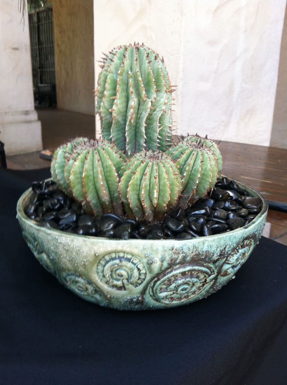 Green Fossil Collection - Susan Aach Ceramics